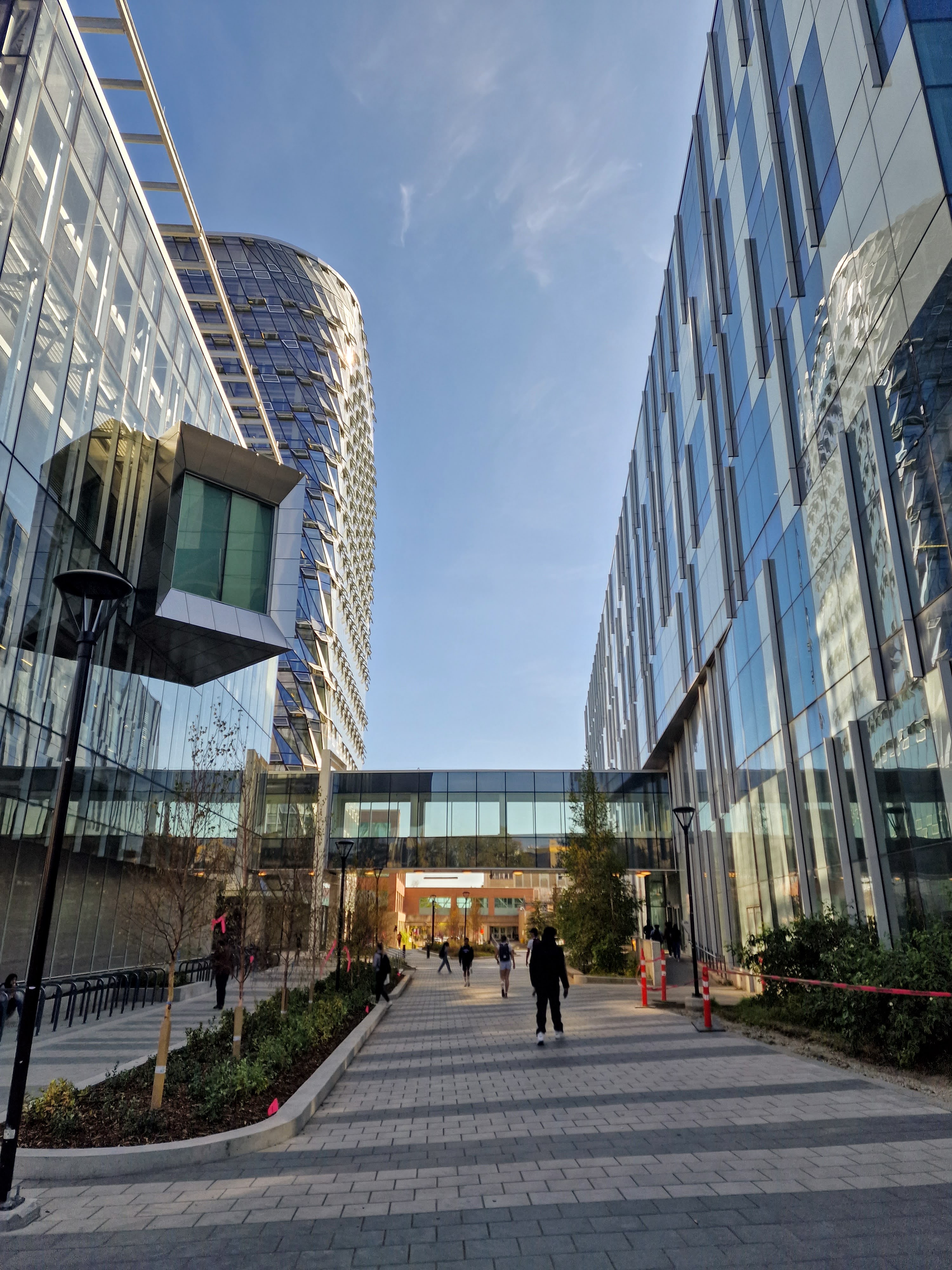 Cintia Pacchiano – Mathematics